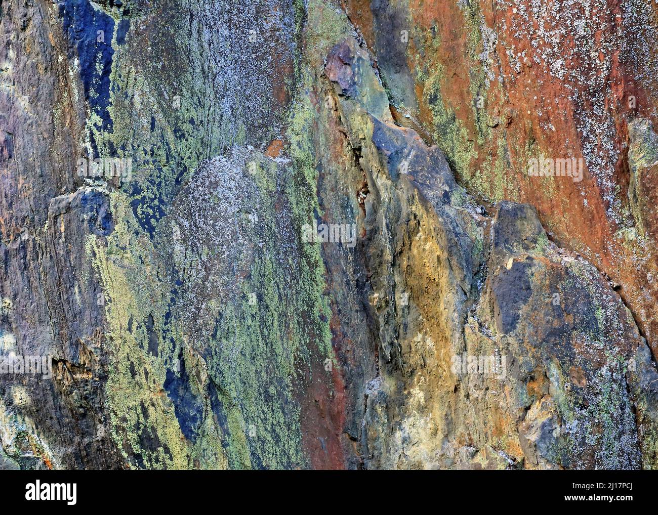 Random texture in nature hi-res stock photography and images - Alamy