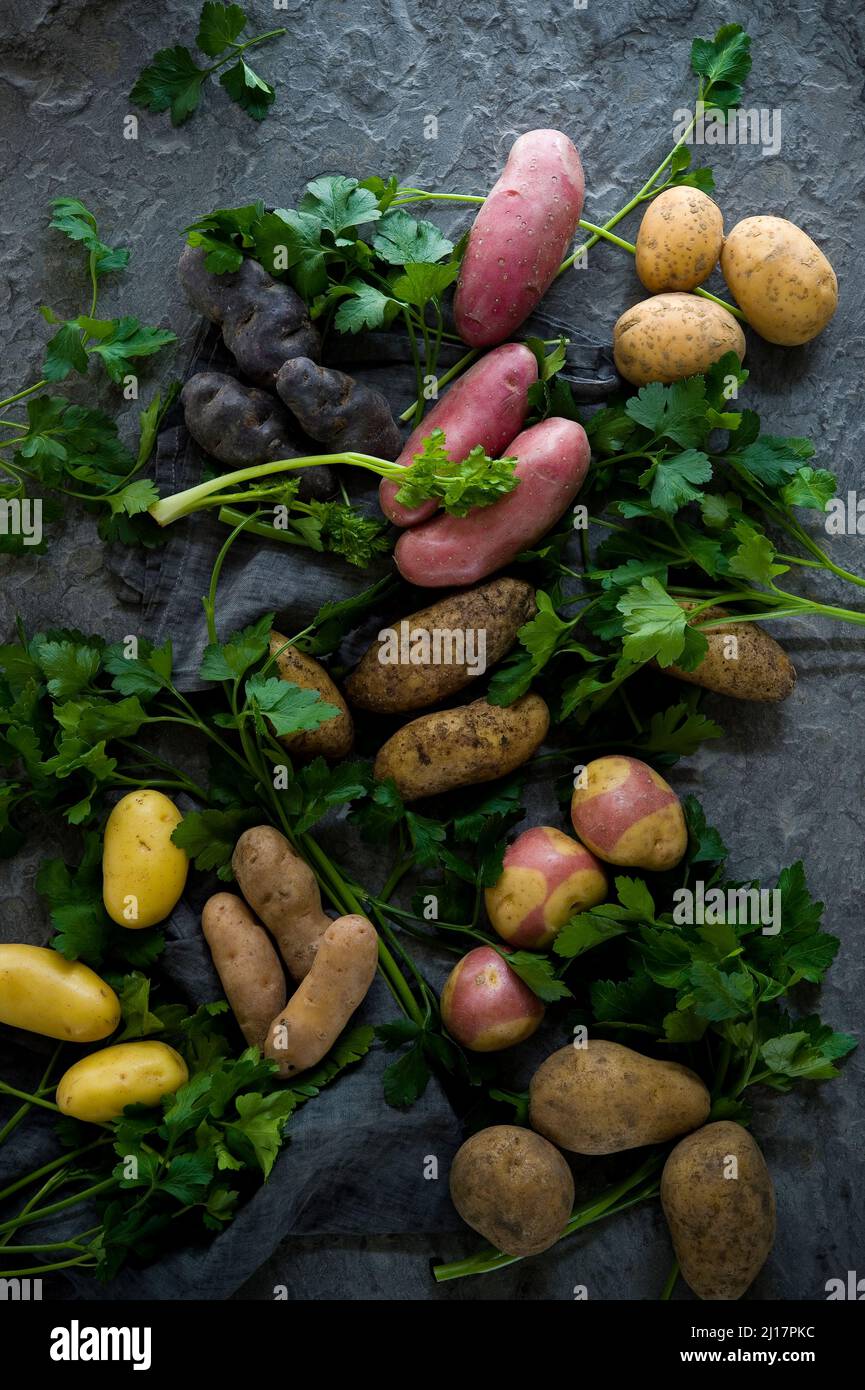 Jazz Varieties Of Potatoes