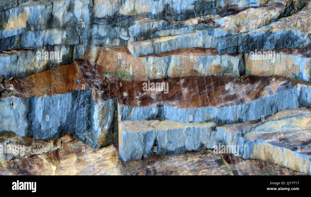 Random texture in nature hi-res stock photography and images - Alamy