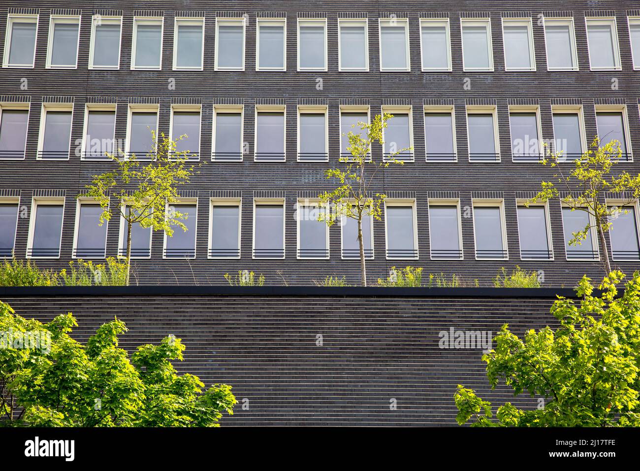New office building hi-res stock photography and images - Alamy