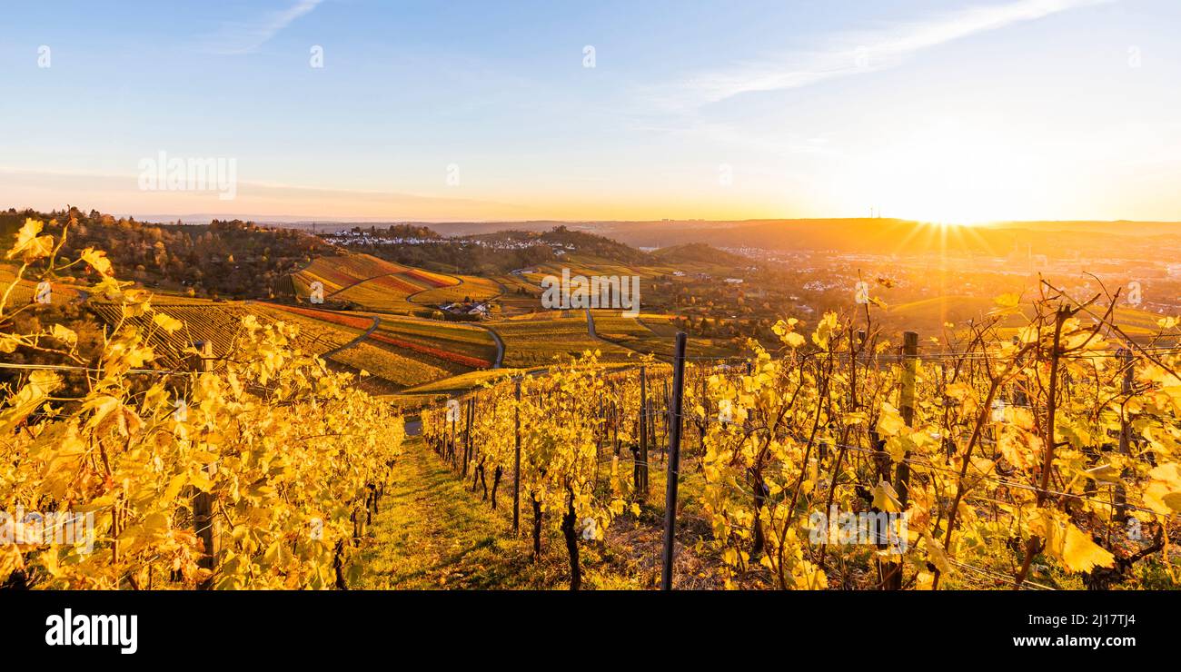 Stuttgart, germany vineyard hi-res stock photography and images - Alamy