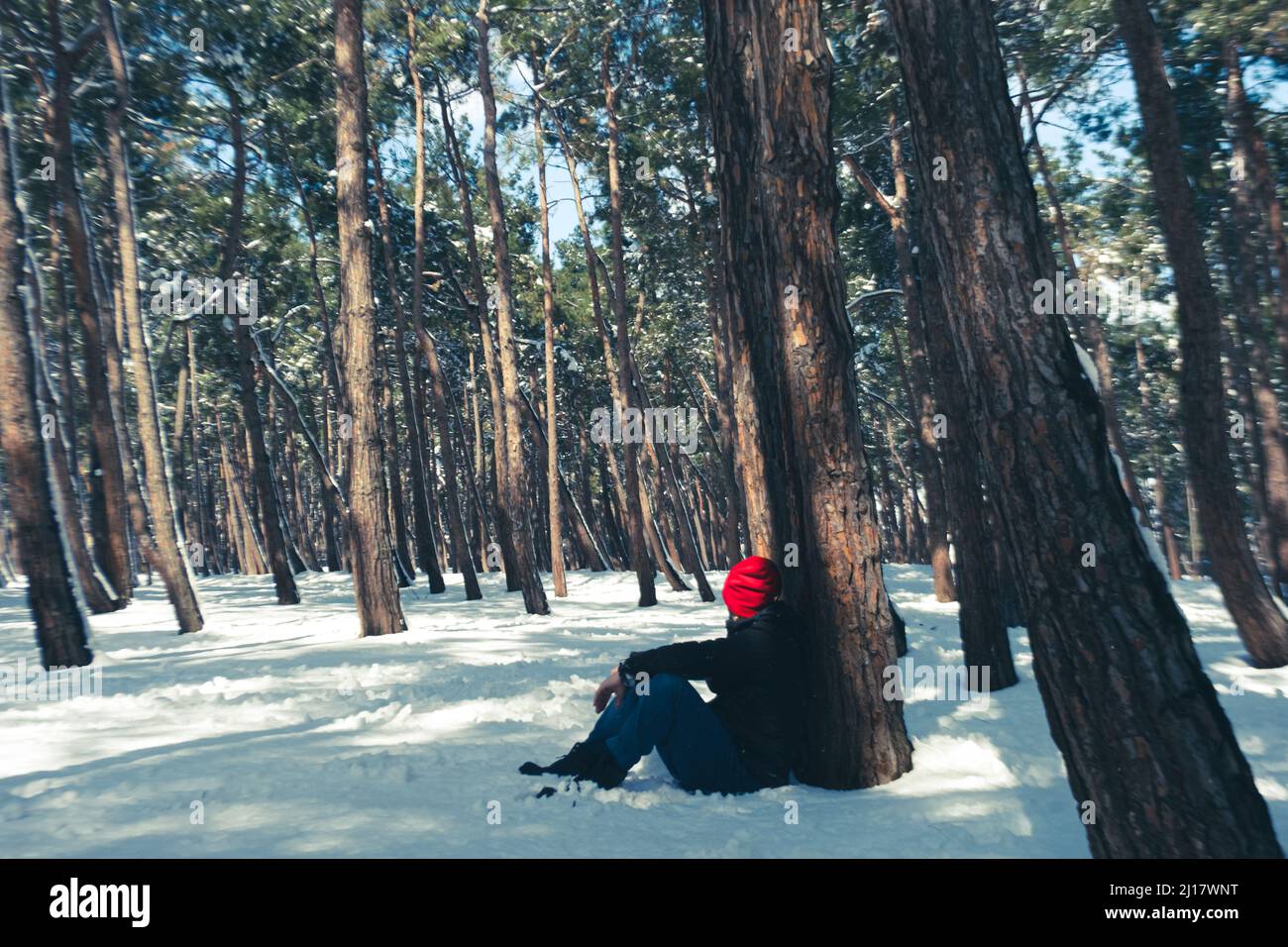 A lonely man sitting in the forest alone in a snowy day. Beuatiful ...