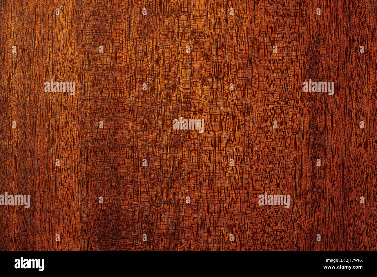 Lacquered wood. Blank background in full screen. Natural noble mahogany ...