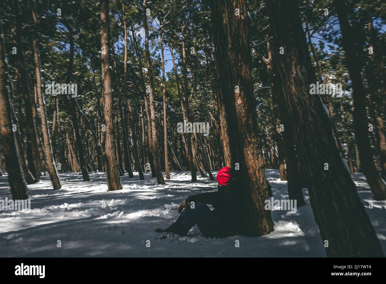 A lonely man sitting in the forest alone in a snowy day. Beuatiful ...
