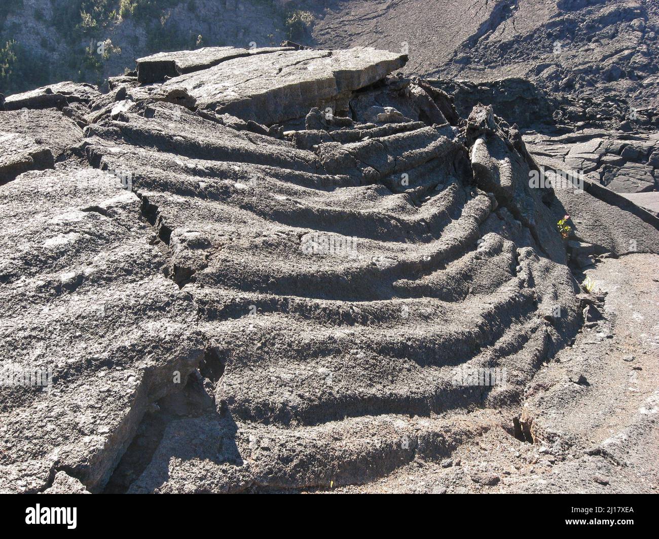 Solidified and cooled Pahoehoe Lava at Volcanoes National Park in ...