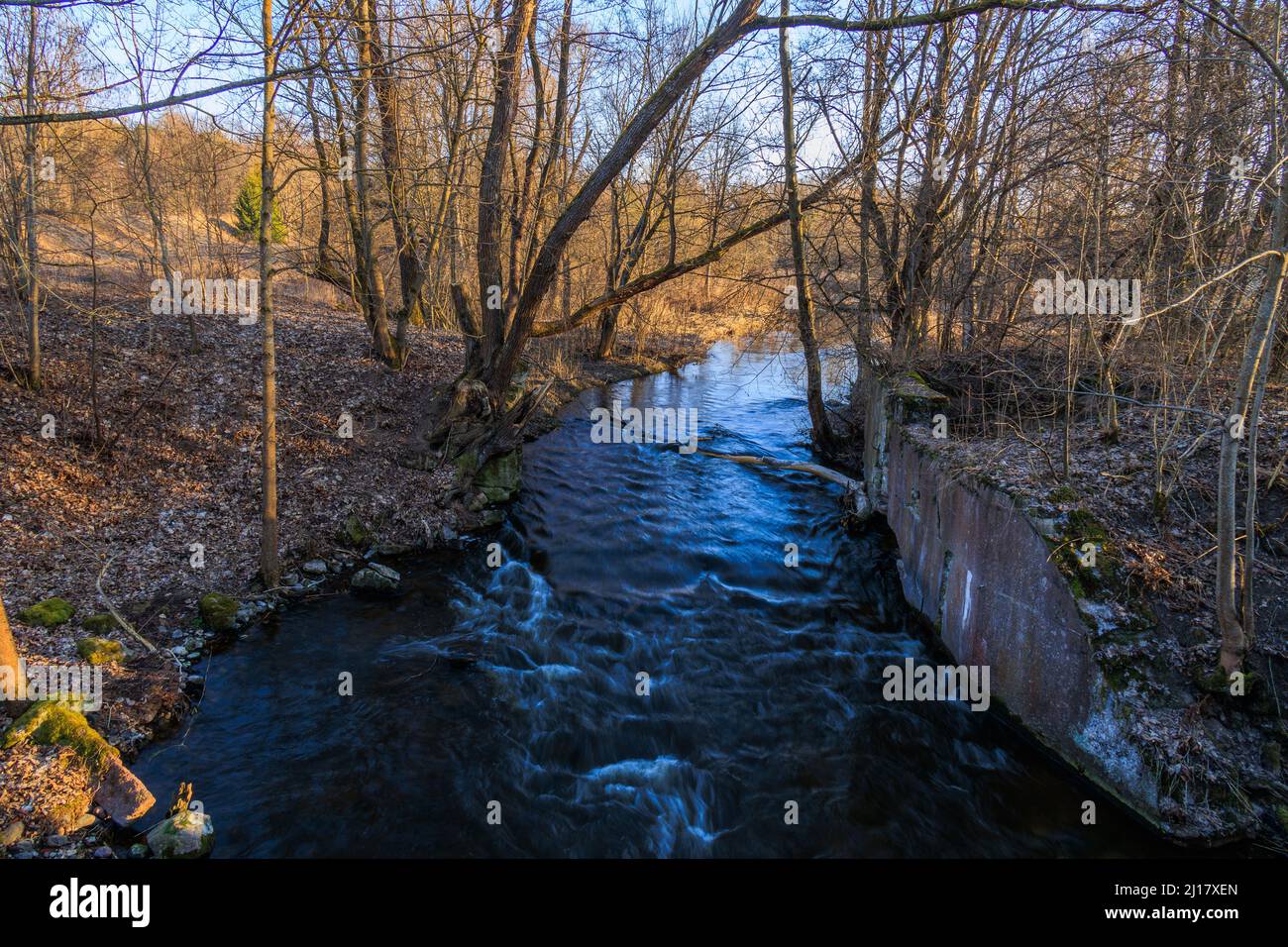 River flowing trought trees Stock Photo - Alamy