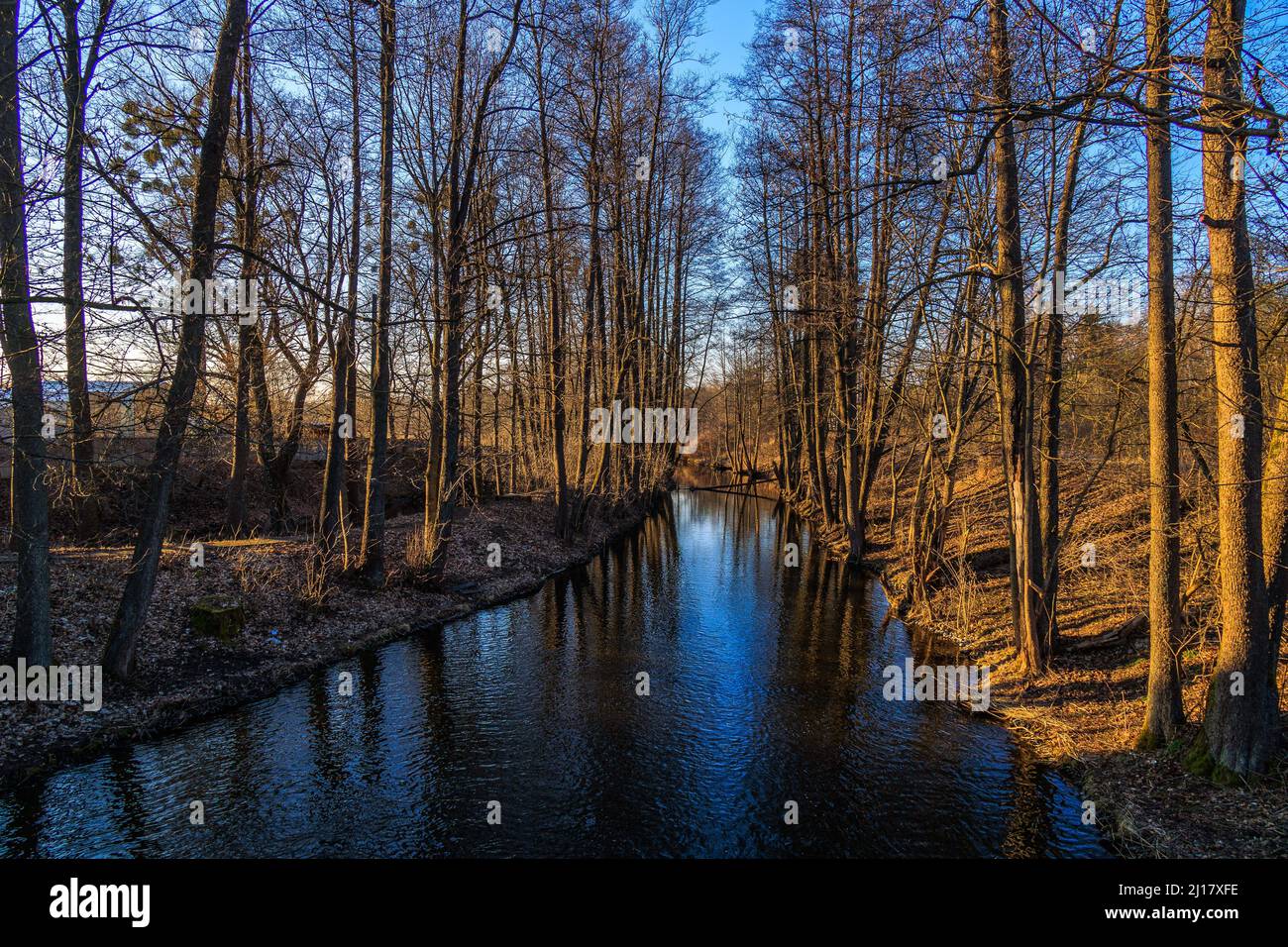 River flowing trought trees Stock Photo - Alamy