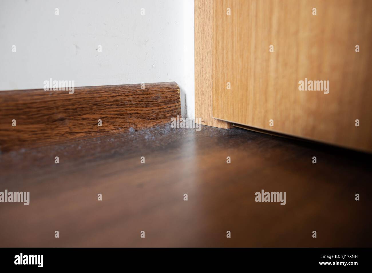 Dust bunnies hi-res stock photography and images - Alamy