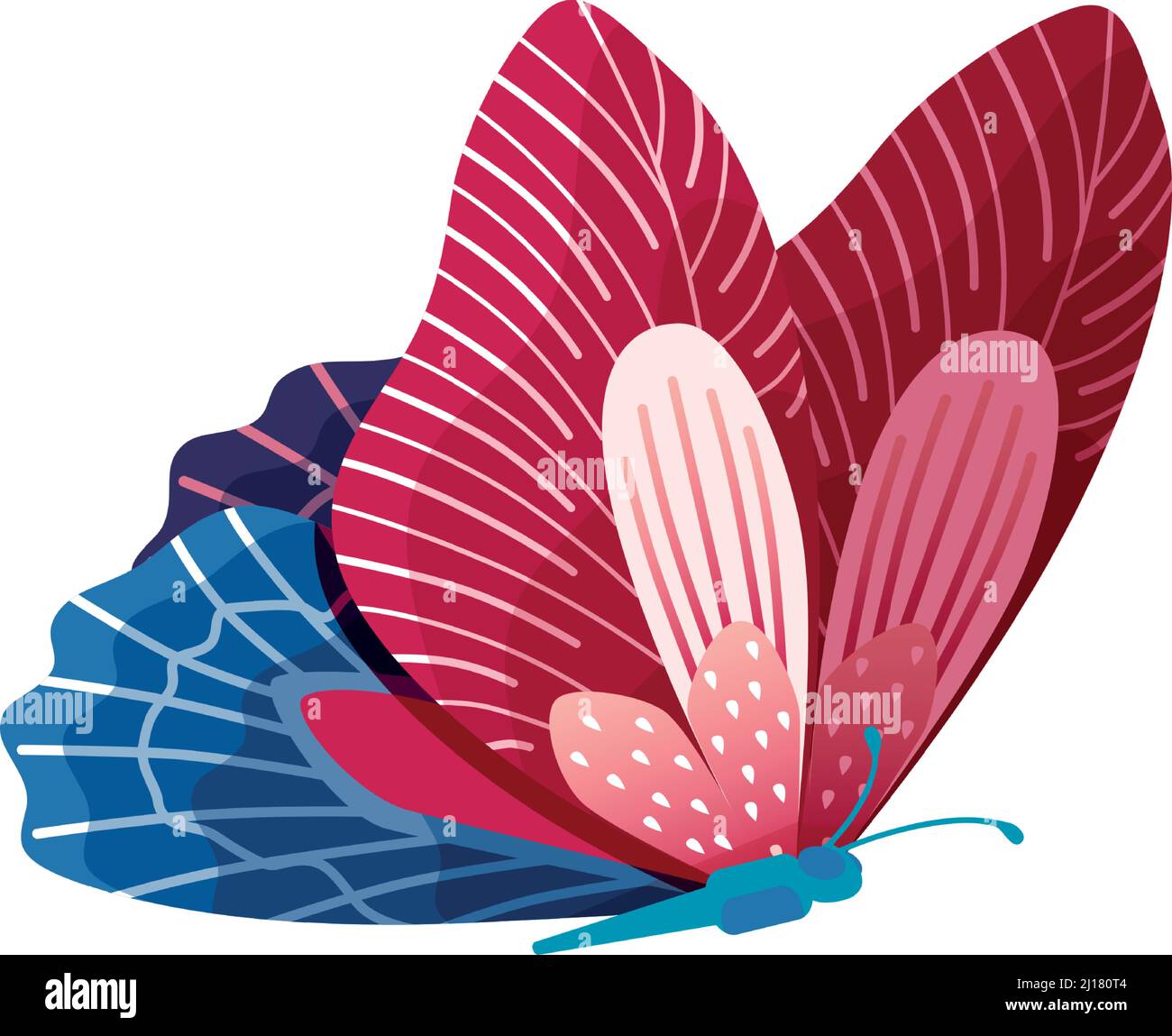 Cartoon moth hi-res stock photography and images - Alamy