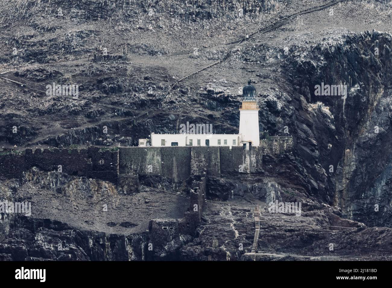 Bass Rock lighthouse in the Firth of Forth Stock Photo - Alamy