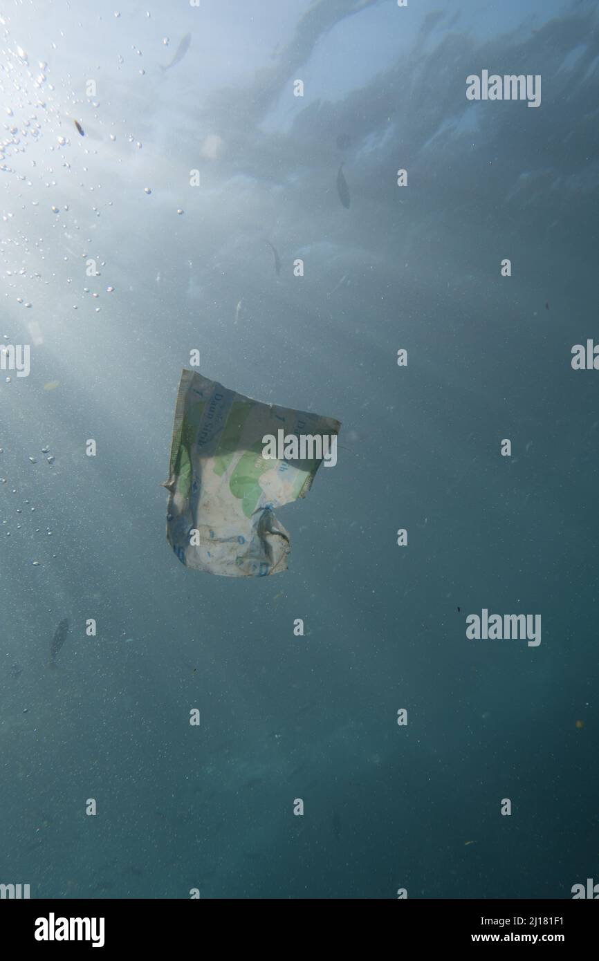 A closeup of a trash bag underwater Stock Photo - Alamy