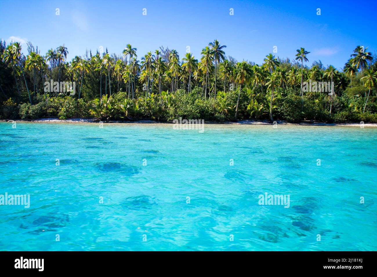 A beautiful view of Mo'orea south Pacific island surrounded by emerald ...