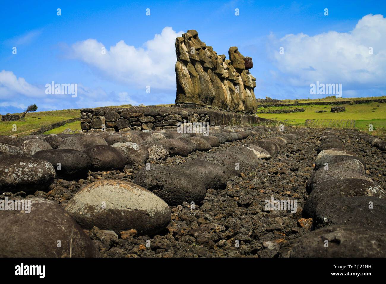 A view of Moai whole body monolithic human figures in Easter island ...