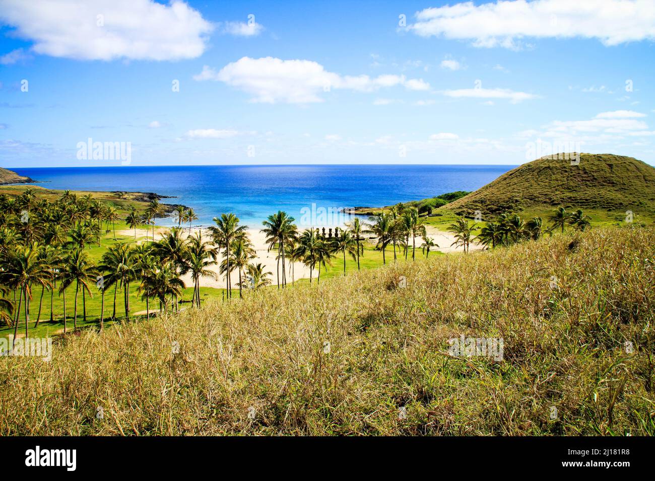 An Easter volcanic island surrounded by greenery fields and palm trees ...
