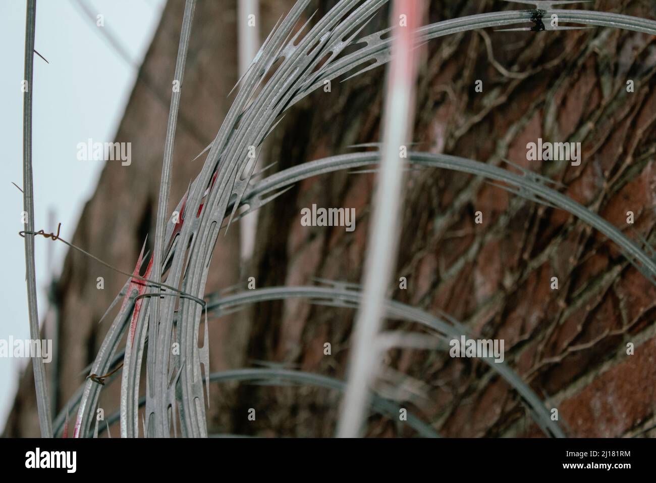 Barbed barrier hi-res stock photography and images - Alamy