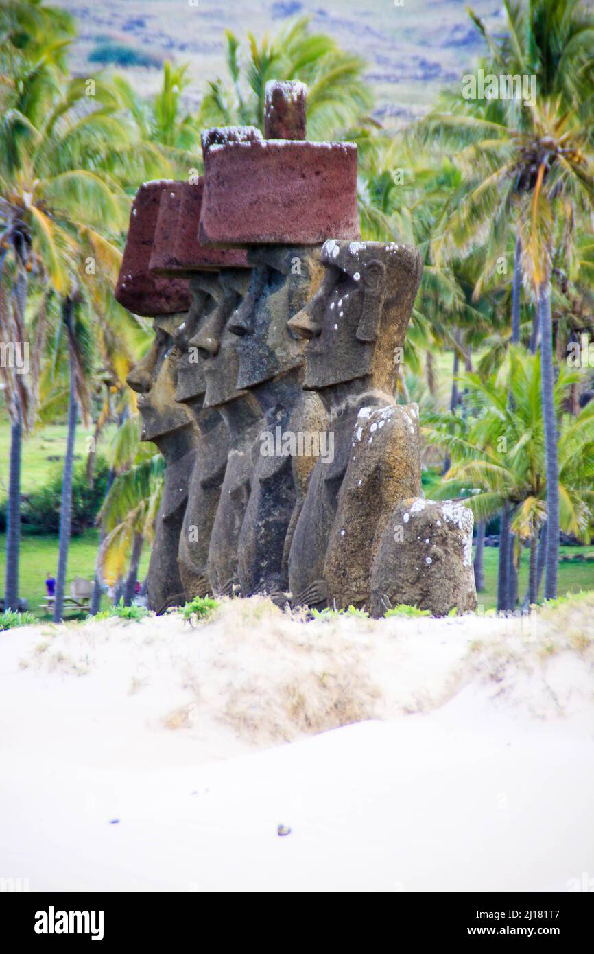 A vertical shot of Moai monolithic whole-body human figures in Easter ...