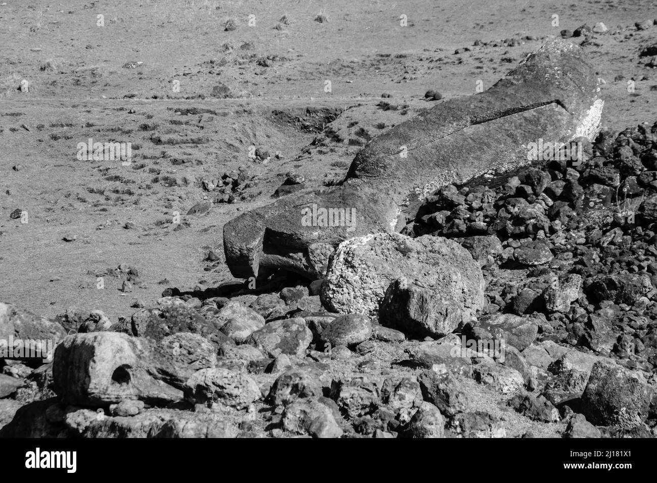 A view of Easter Island with Moai monolithic human figures in black and ...