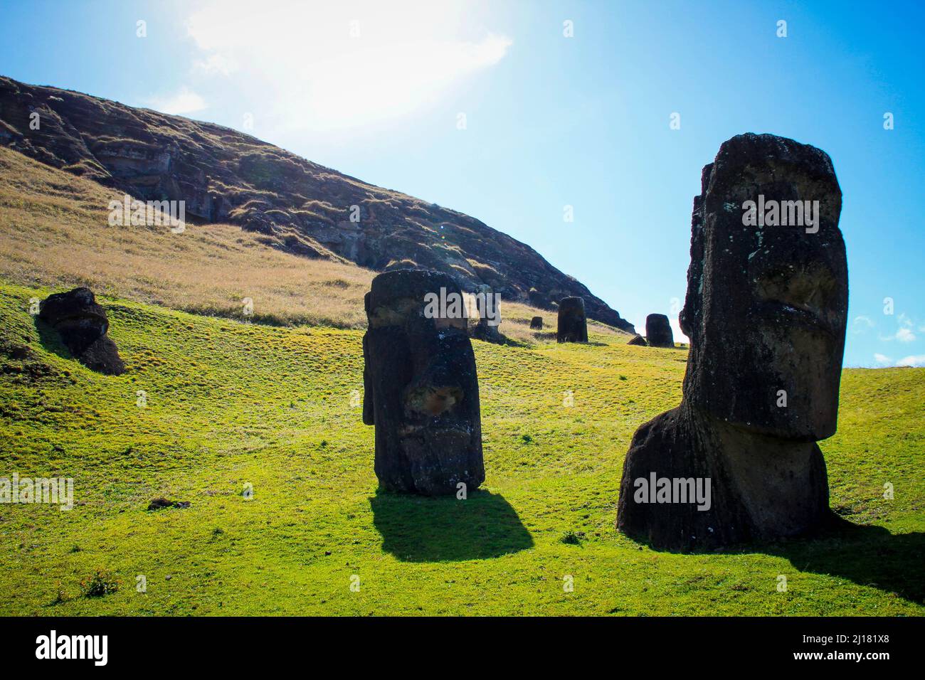 A view of Moai monolithic human figures in greenery field of Easter ...