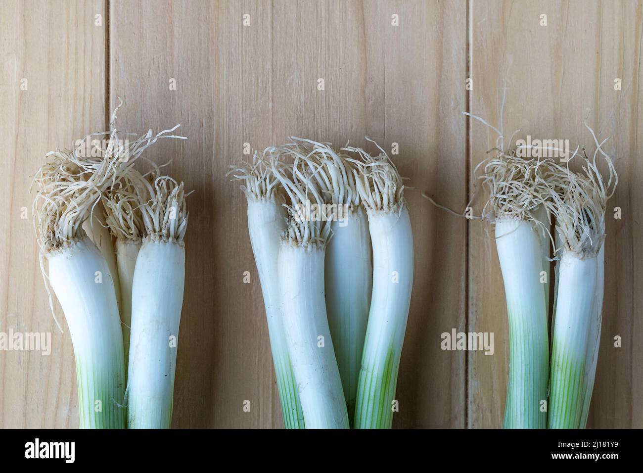 Spring onions also known as salad onions, green onions or scallions on ...