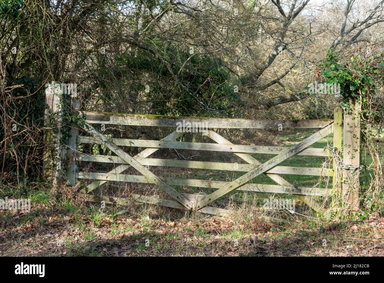 A five bar well worn timber gate surrounded by countryside seen ...