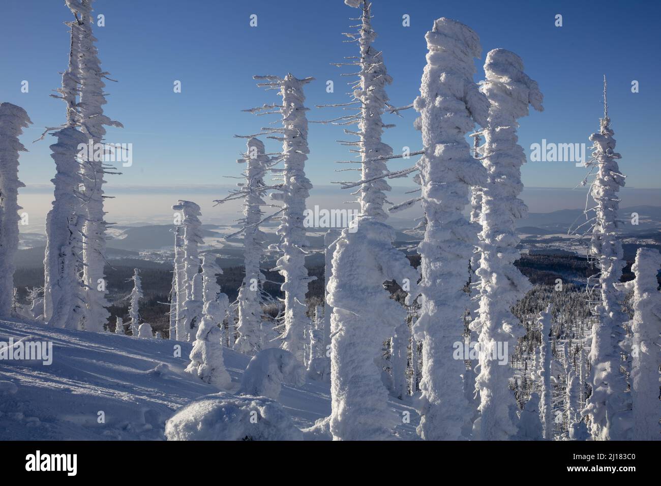 Wind and weather shaped abstract snow sculptures at Mount Lusen ...
