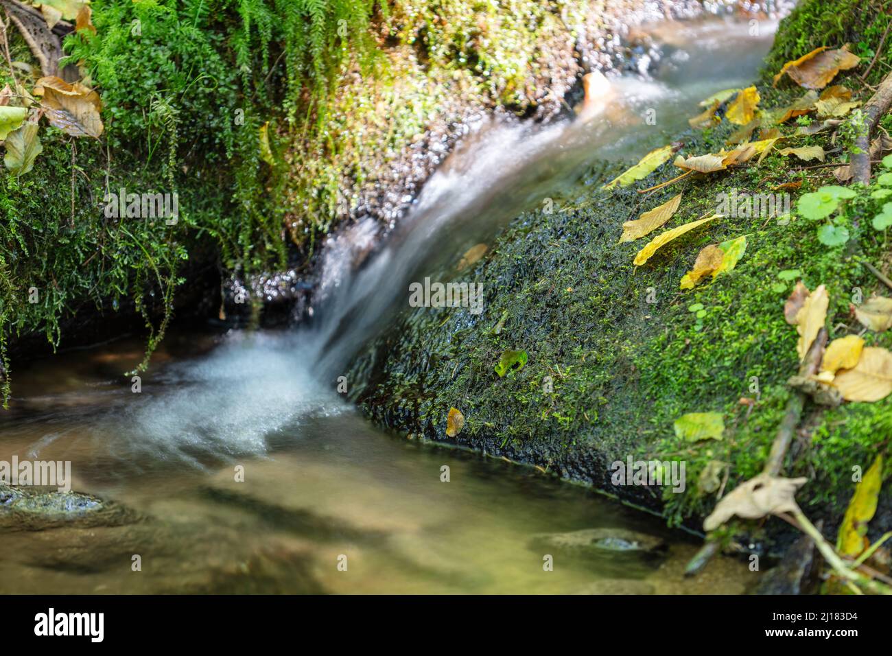Motion blurred river in the Bavarian Forrest, moss-covered rock ...