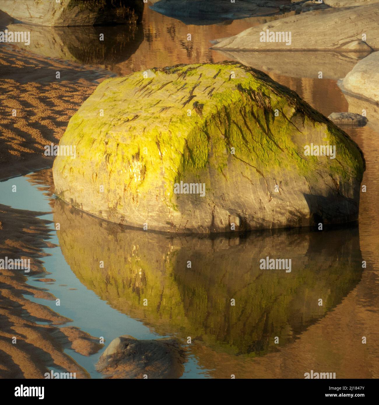Colour photograph of coastal rocks and tidal pools on beach some ...