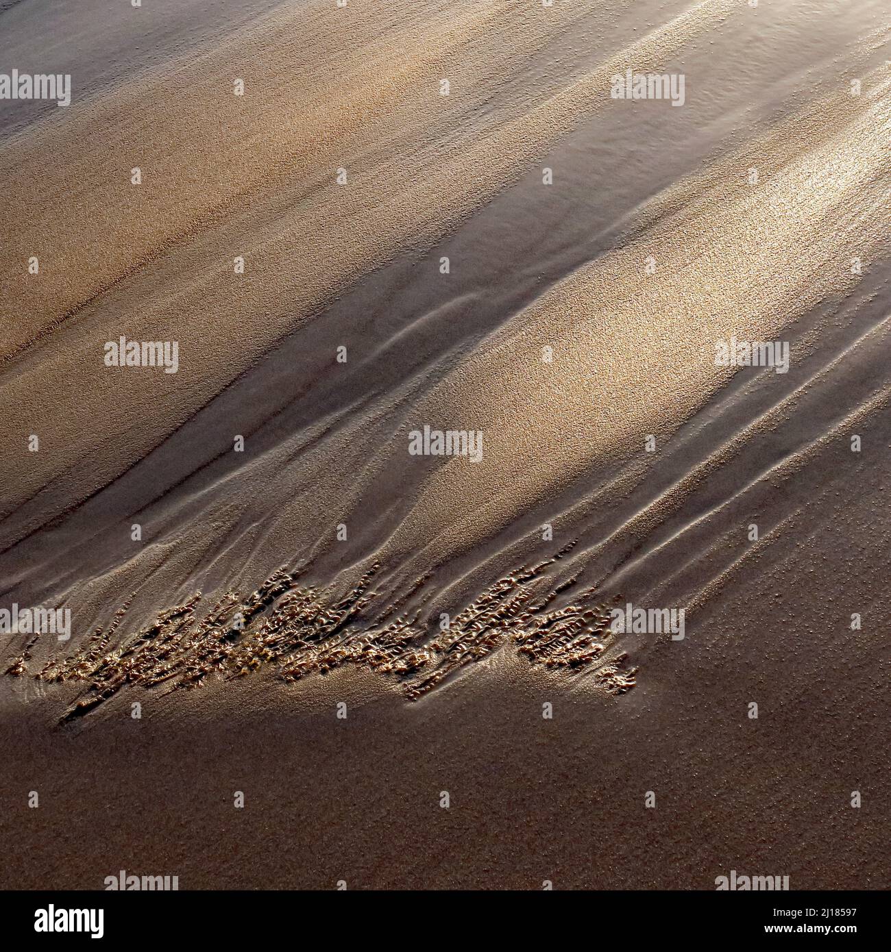 Abstract detailed tidal patterns in the sand at low tide on Penbryn ...