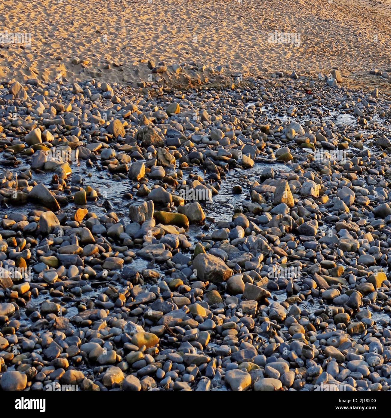 Colour photograph of coastal stones on beach smoothed and rounded by ...