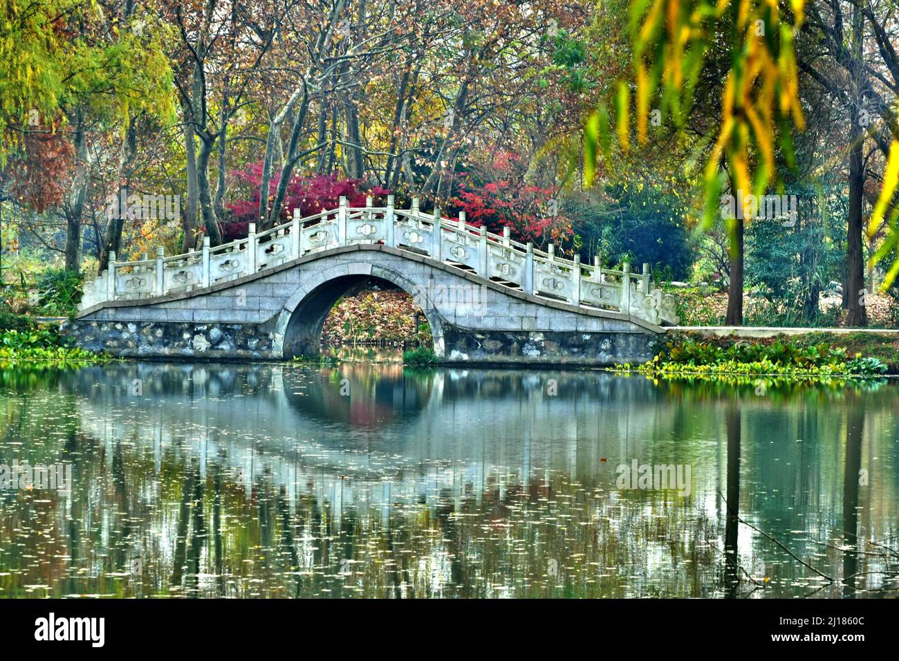 A scenery of a bridge over a river reflecting the surrounding nature in ...