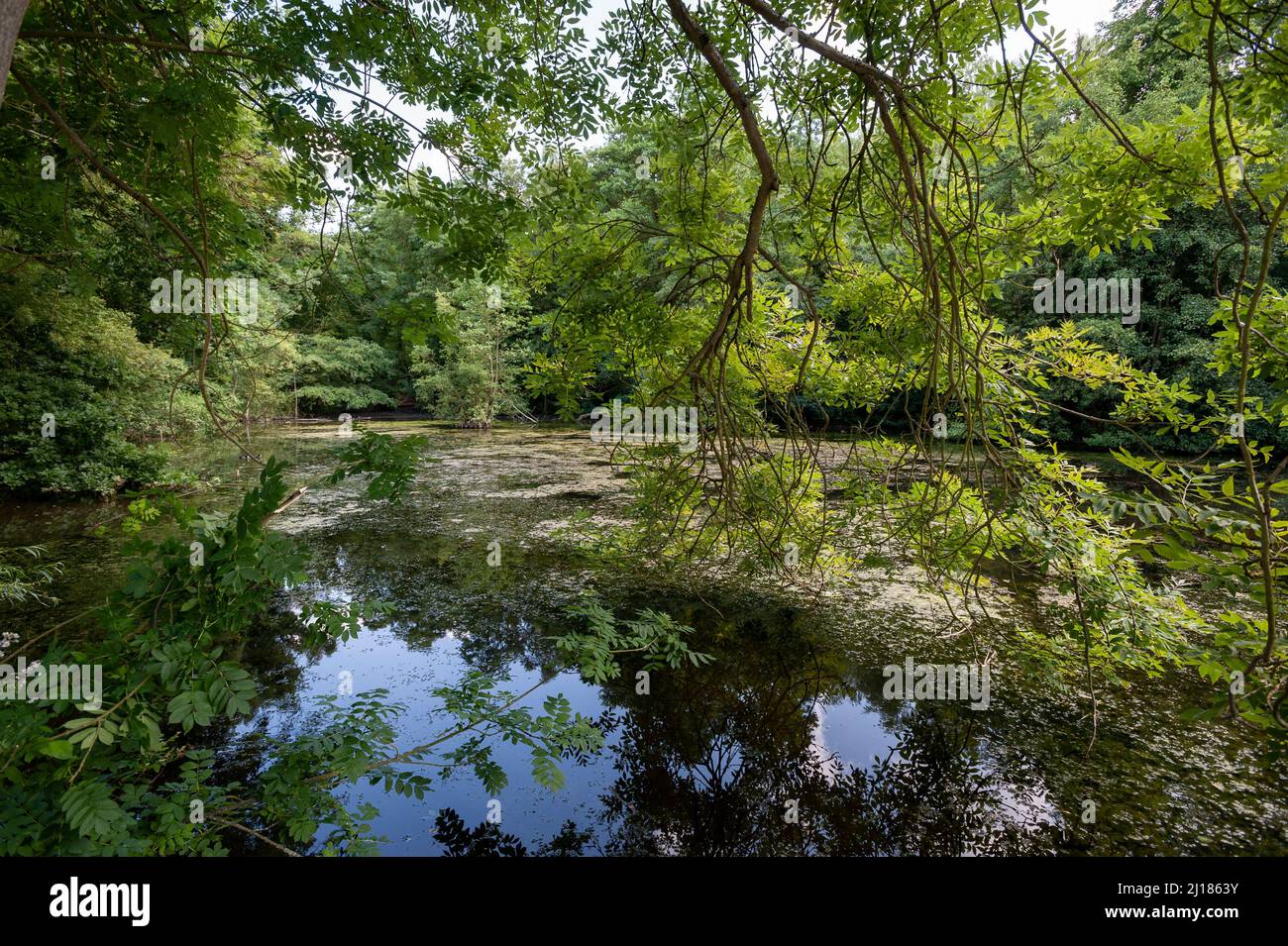 The CS Lewis Nature Reserve, Headington, Oxford Stock Photo - Alamy