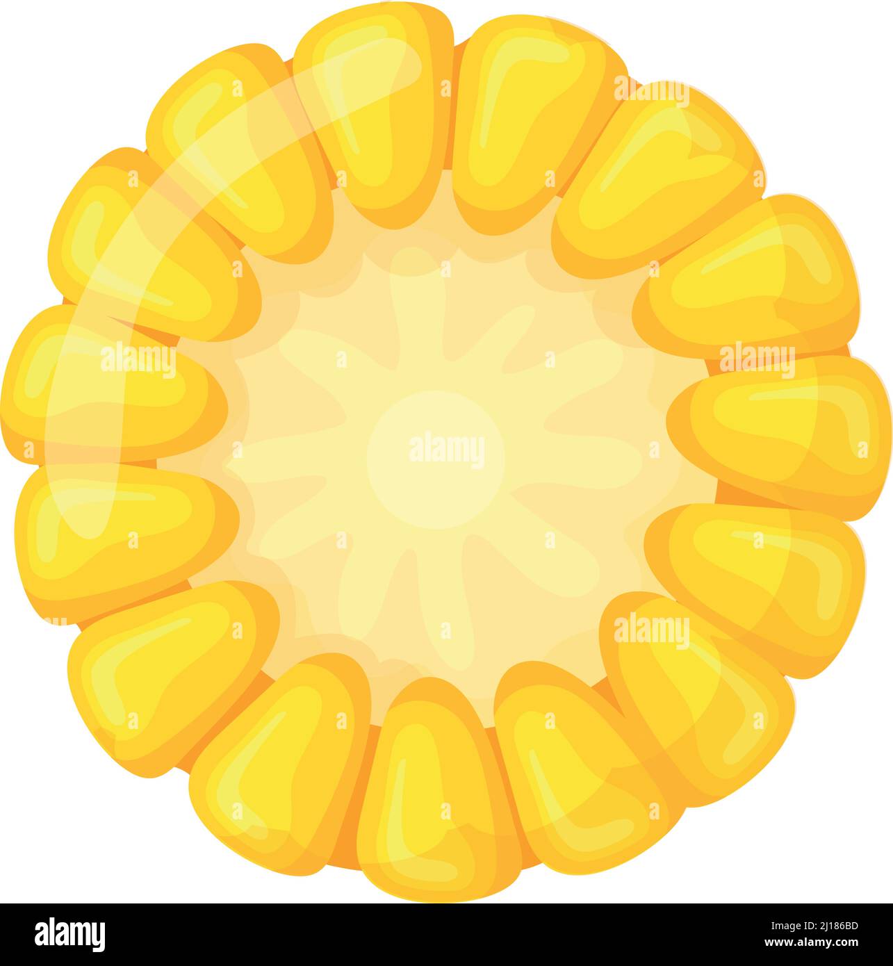 Corn cob cut with yellow ripe kernels in cartoon style isolated on ...