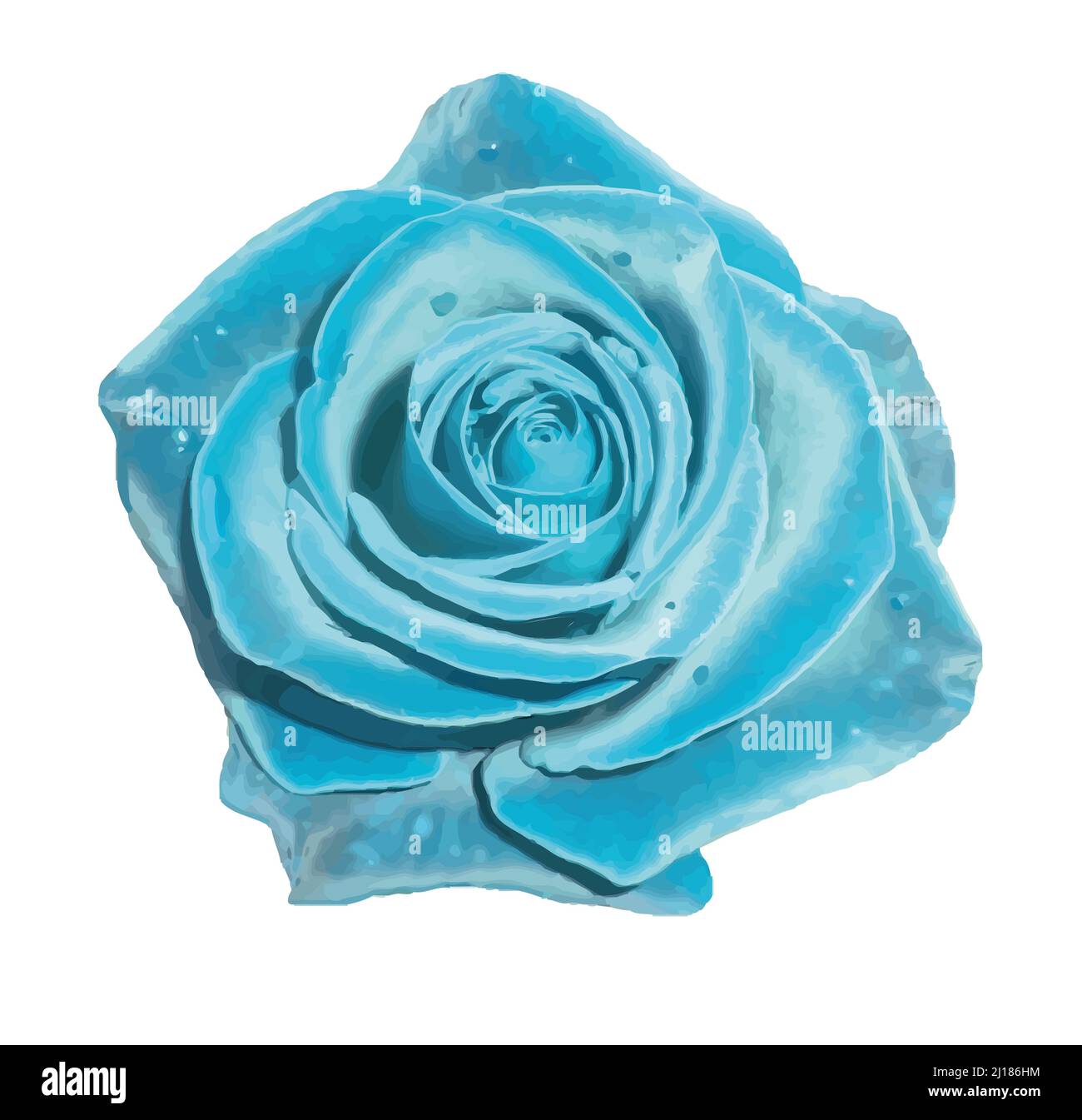 Vector floral decorative illustration. Rose vector background Stock ...