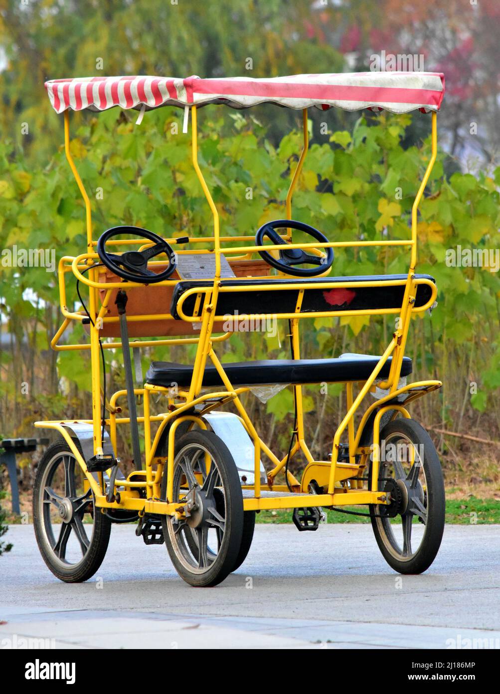 A double bike in a park Stock Photo - Alamy