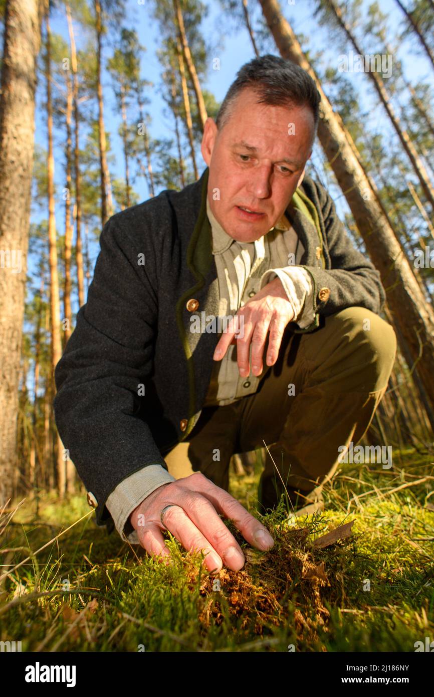 Mossy layer hi-res stock photography and images - Alamy