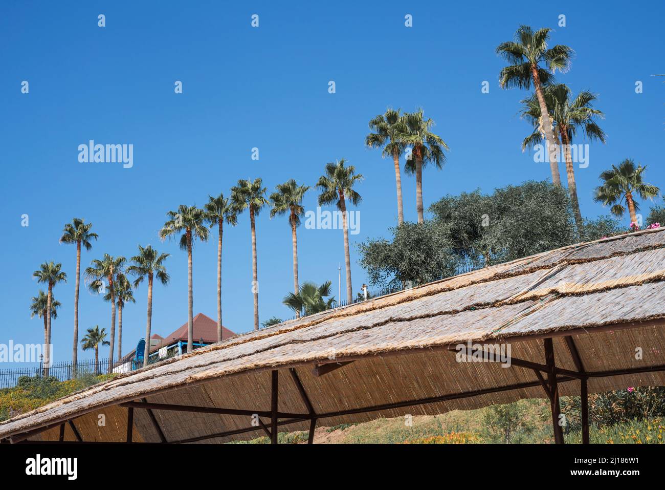Beach thatched canopy in a tropical resort for summer holidays Stock ...