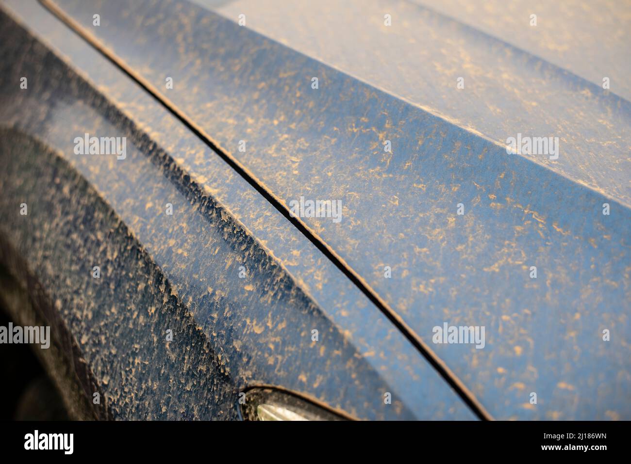 a blue car in Germany covered with dust transported by wind of the ...