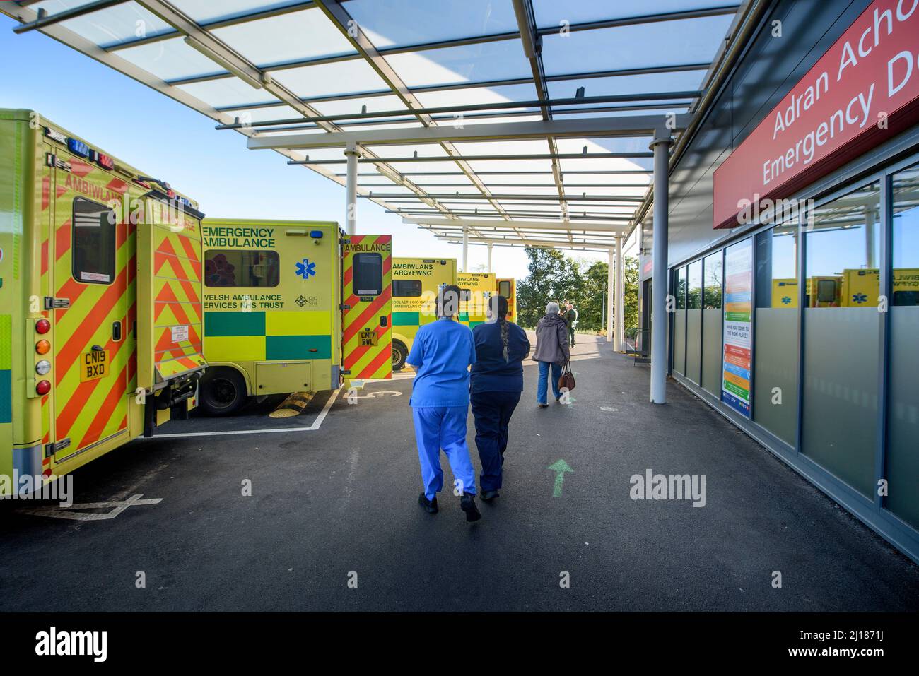 The problem of queueing ambulances due to unavailable hospital beds ...