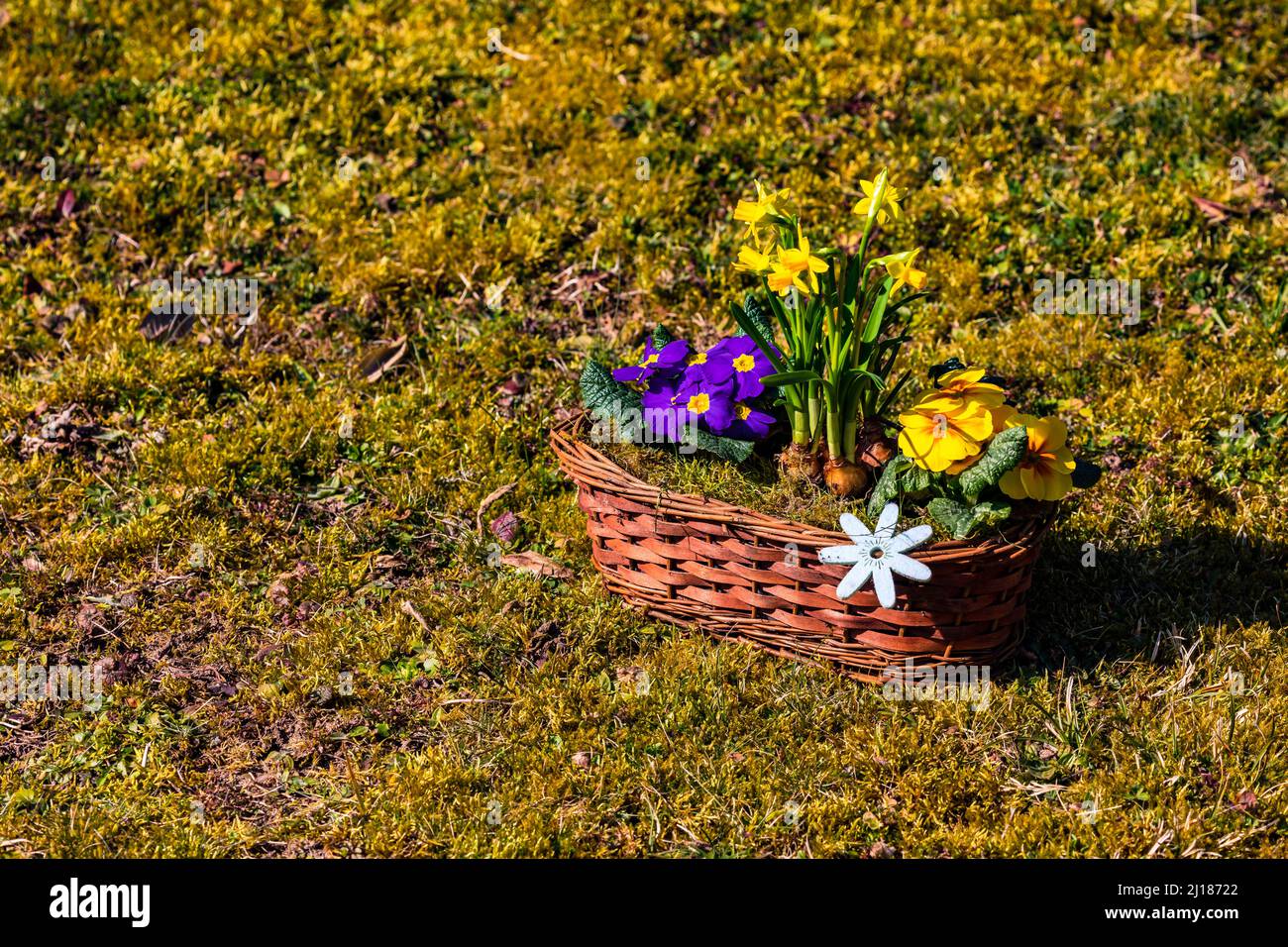 A basket of colorful flowers in a romantic spring mood on a lawn in ...