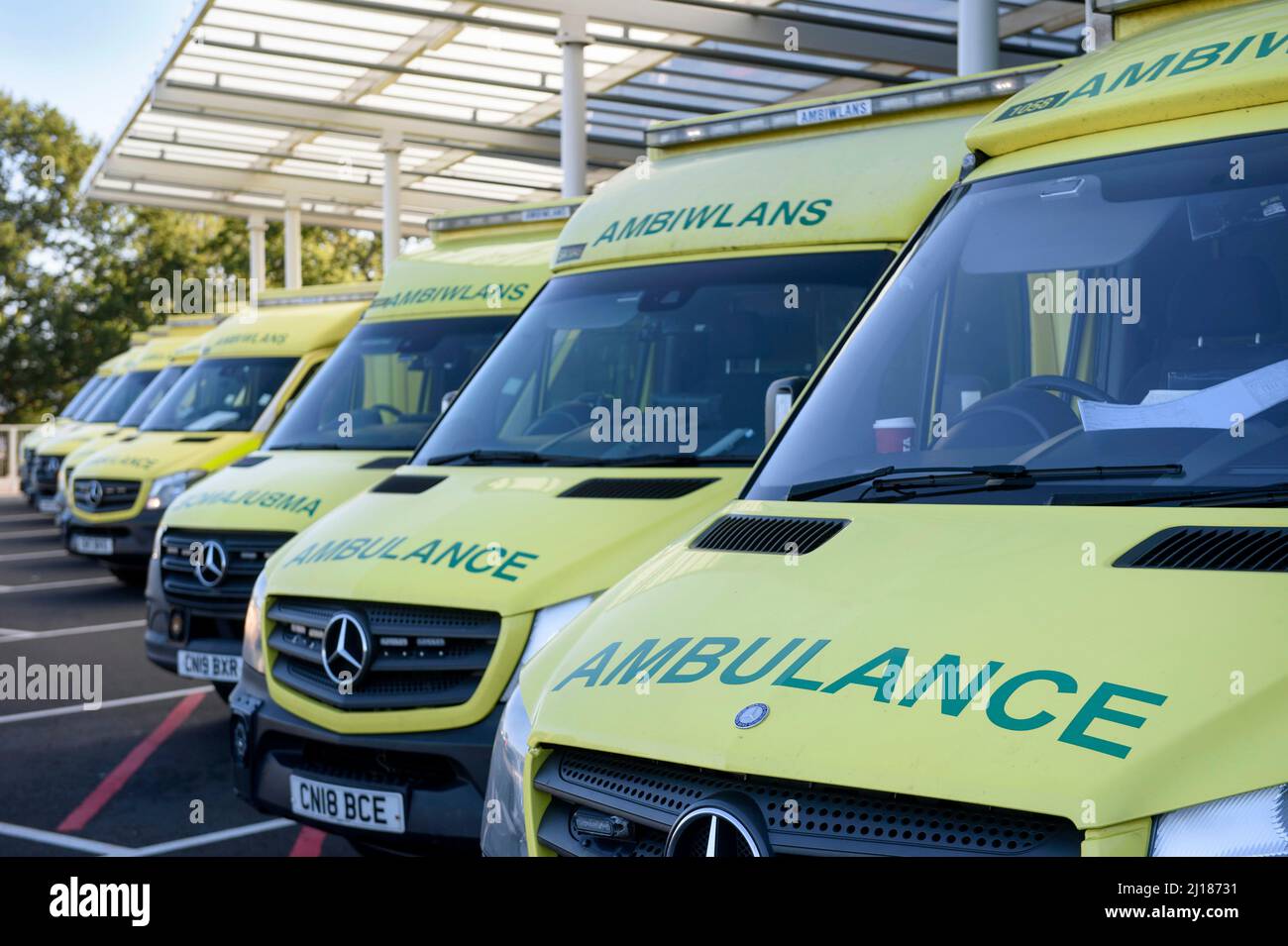 The problem of queueing ambulances due to unavailable hospital beds - a ...