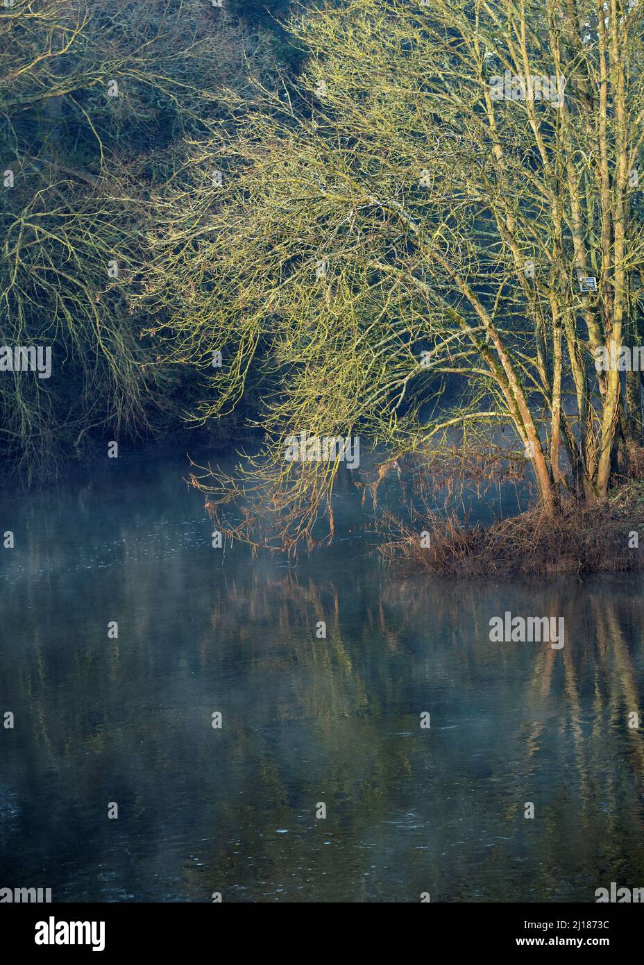 Beautiful mist over trees in hi-res stock photography and images - Alamy