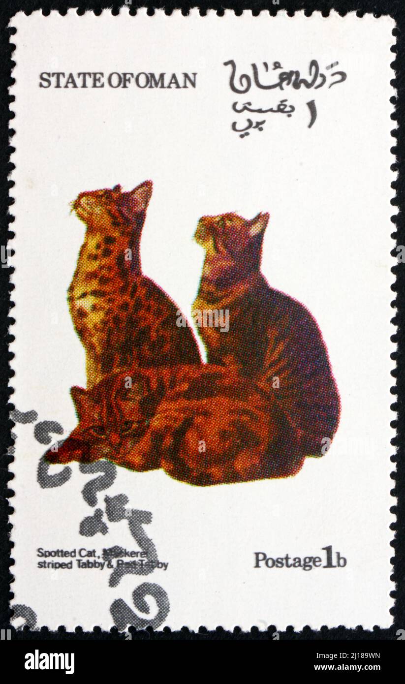 OMAN - CIRCA 1973: a stamp printed in State of Oman shows Spotted Cat ...