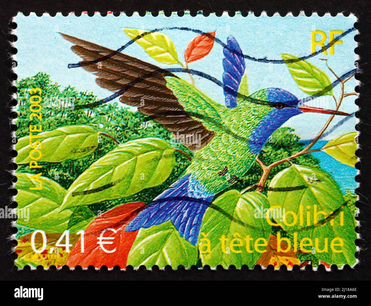 Blue headed hummingbird hi-res stock photography and images - Alamy