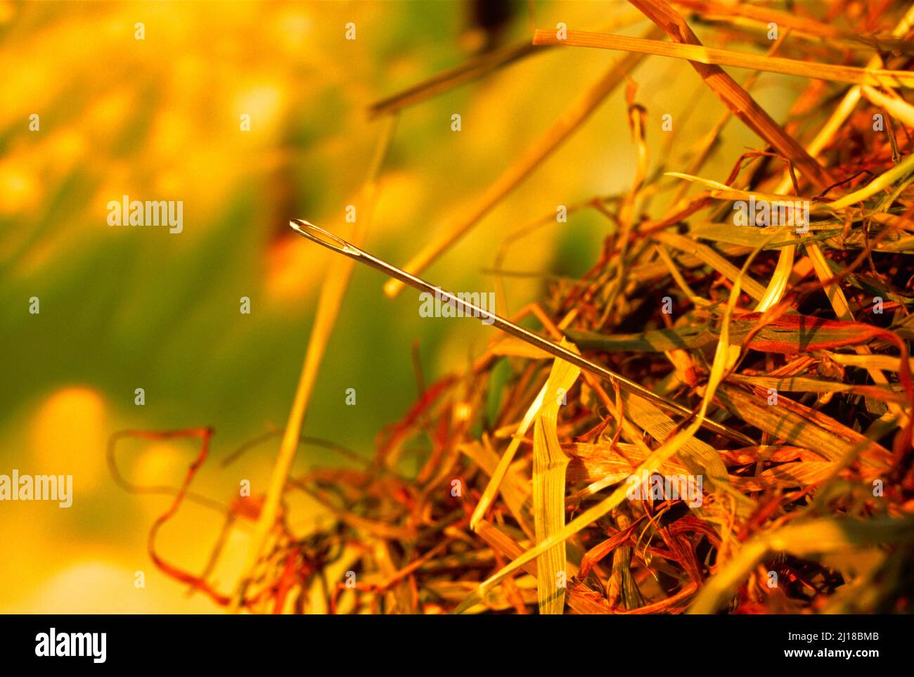 needle in a haystack Stock Photo - Alamy