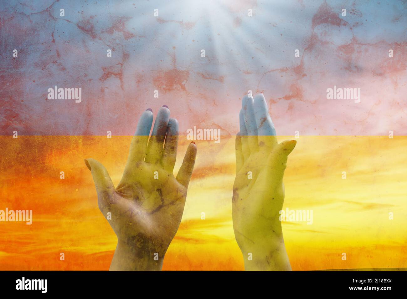 The national flag of Ukraine, female hands. The concept of patriotism ...