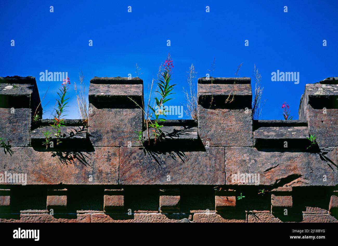 Scottish castle parapet hi-res stock photography and images - Alamy
