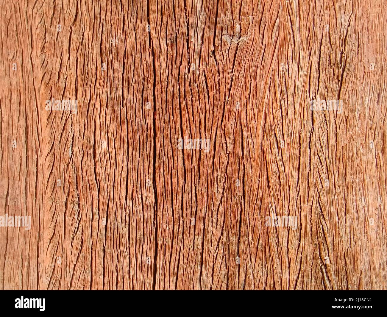 Beautiful wooden background, wood timber background, wood texture ...