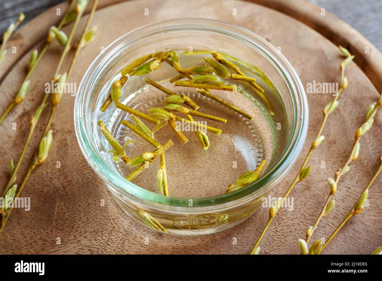 Preparation of herbal tincture from willow buds and bark from young ...