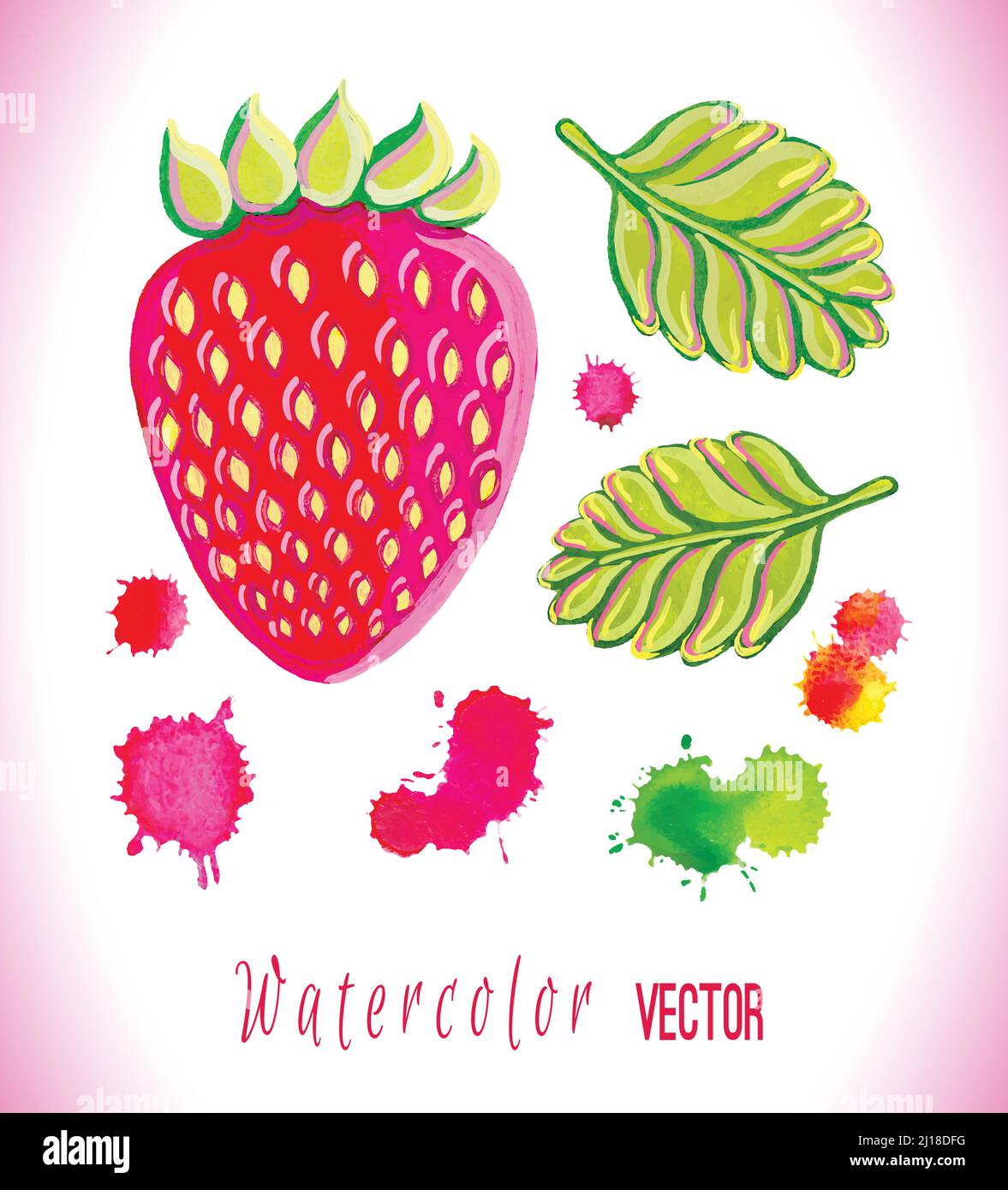 Watercolor strawberry isolated on white background Stock Vector Image ...