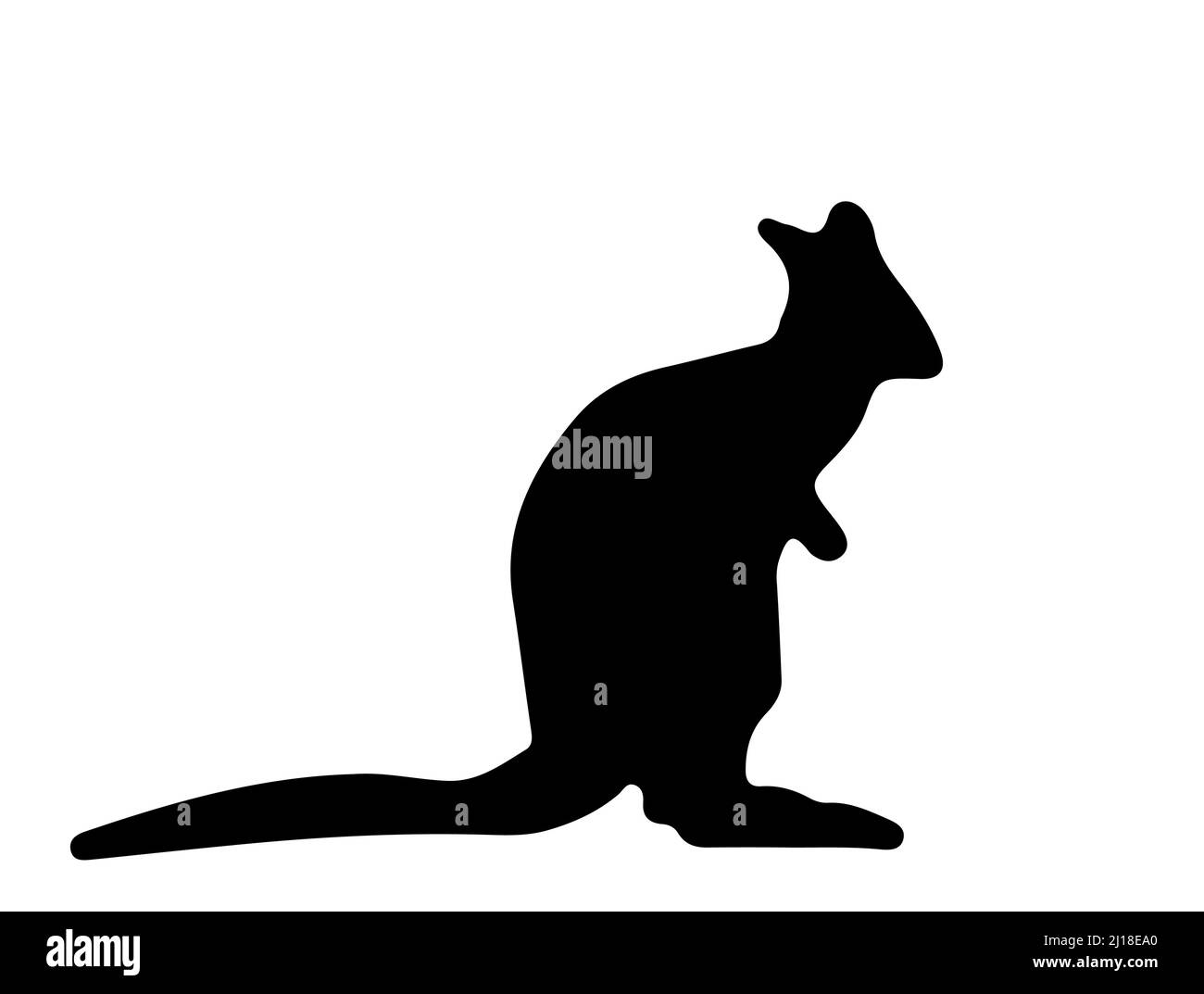 Kangaroo (Wallaby Wallaroo) silhouette on white Stock Vector Image ...